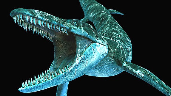 How To Make a Fantasy Sea Creature - DIY