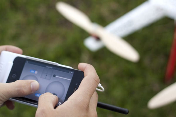 Make your own mold terrarium