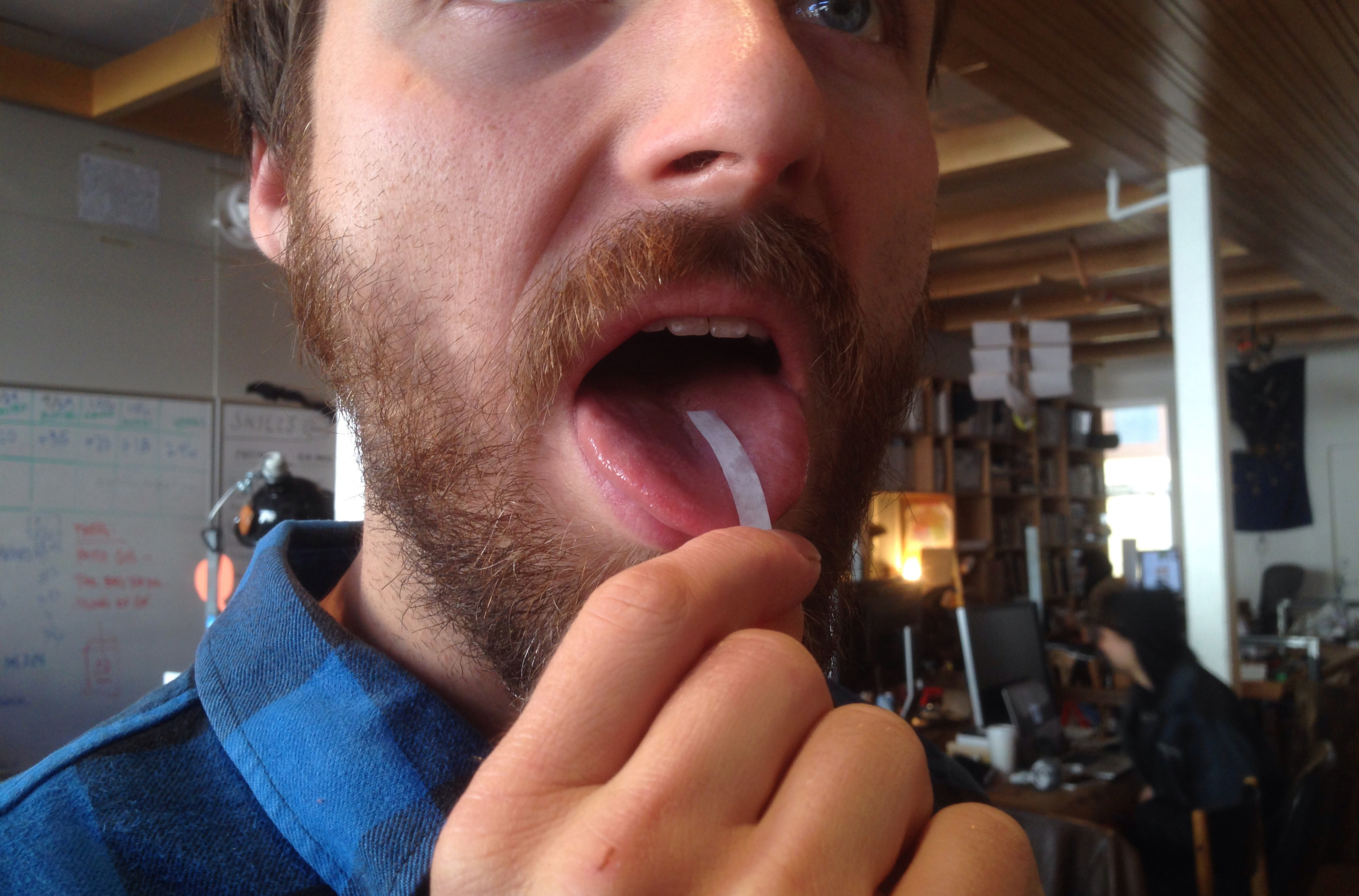 How To Take the Supertaster Test - DIY