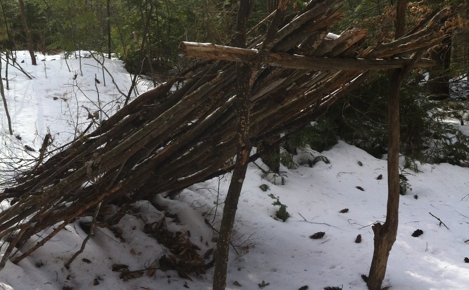 How To Build a Stick Fort - DIY