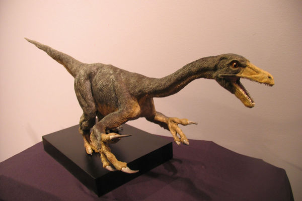 How To Make A Dinosaur Model DIY