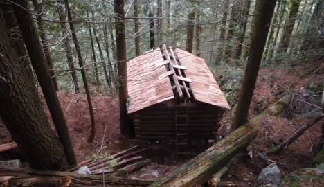 How To Build a DIY Cabin - DIY